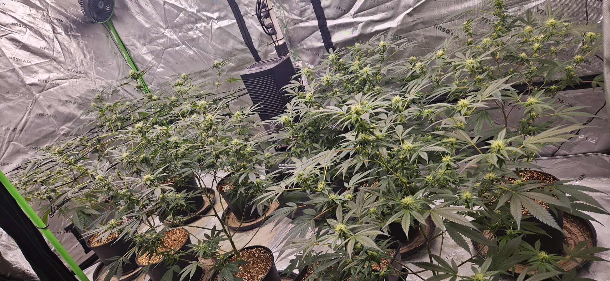 eazy-garden – Real DGC